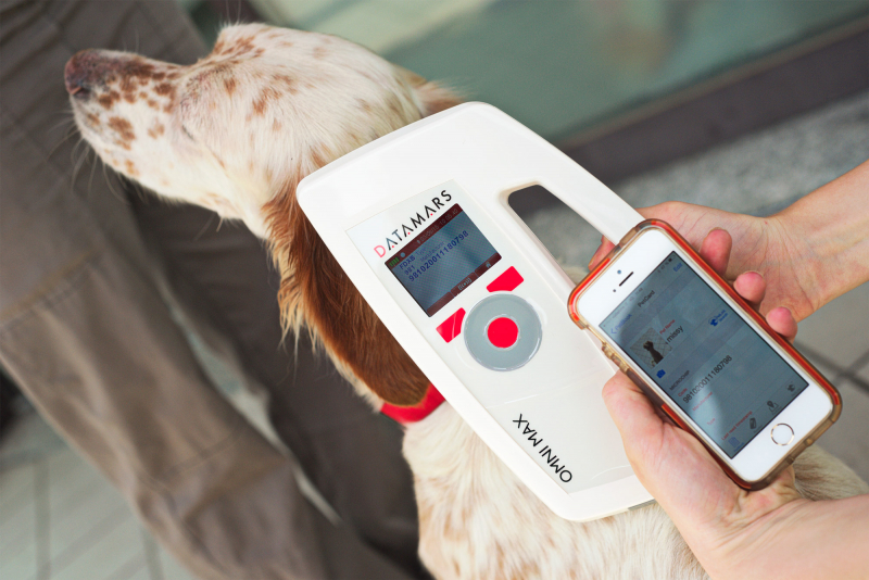 US / Can (English) - Datamars