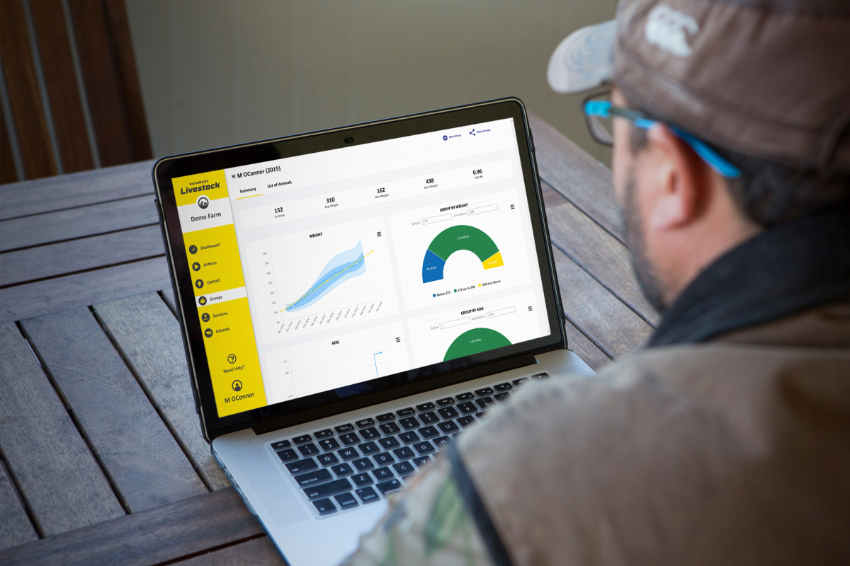 Datamars homepage - Datamars