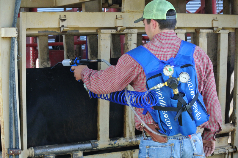 Datamars homepage - Datamars