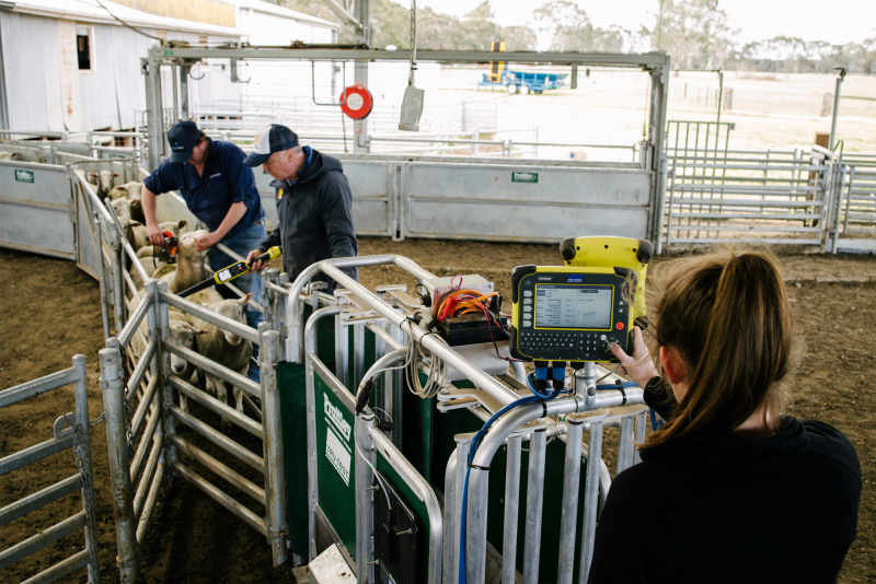 US / Can (English) - Datamars