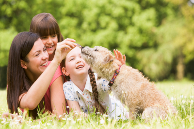 US / Can (English) - Datamars