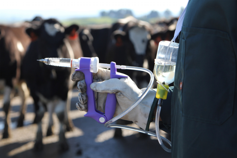 Datamars homepage - Datamars