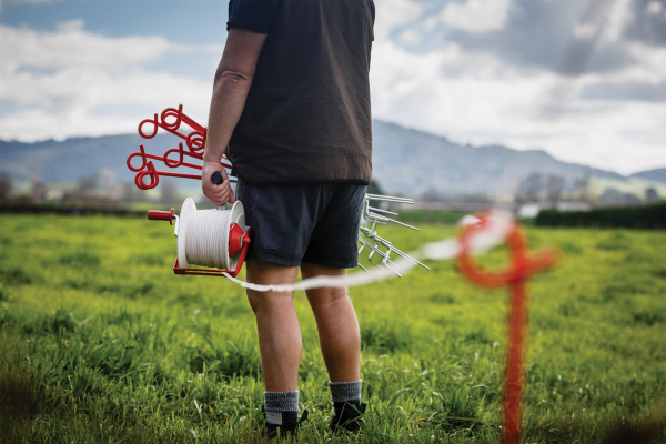 Datamars homepage - Datamars