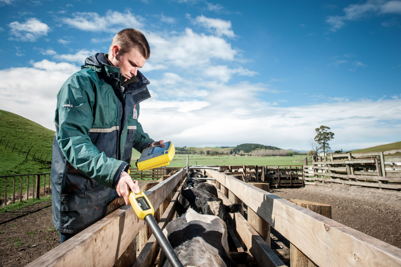 US / Can (English) - Datamars