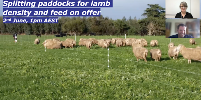 Live online training helps farmers maximise value from livestock ...