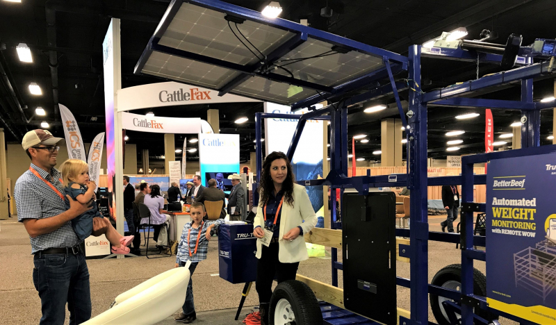 Datamars Livestock remote weighing system impresses at CattleCon 2021 ...