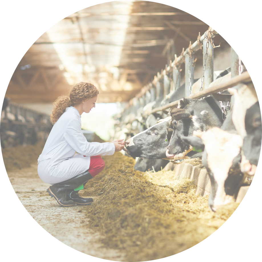 Sustainability at Datamars - Datamars