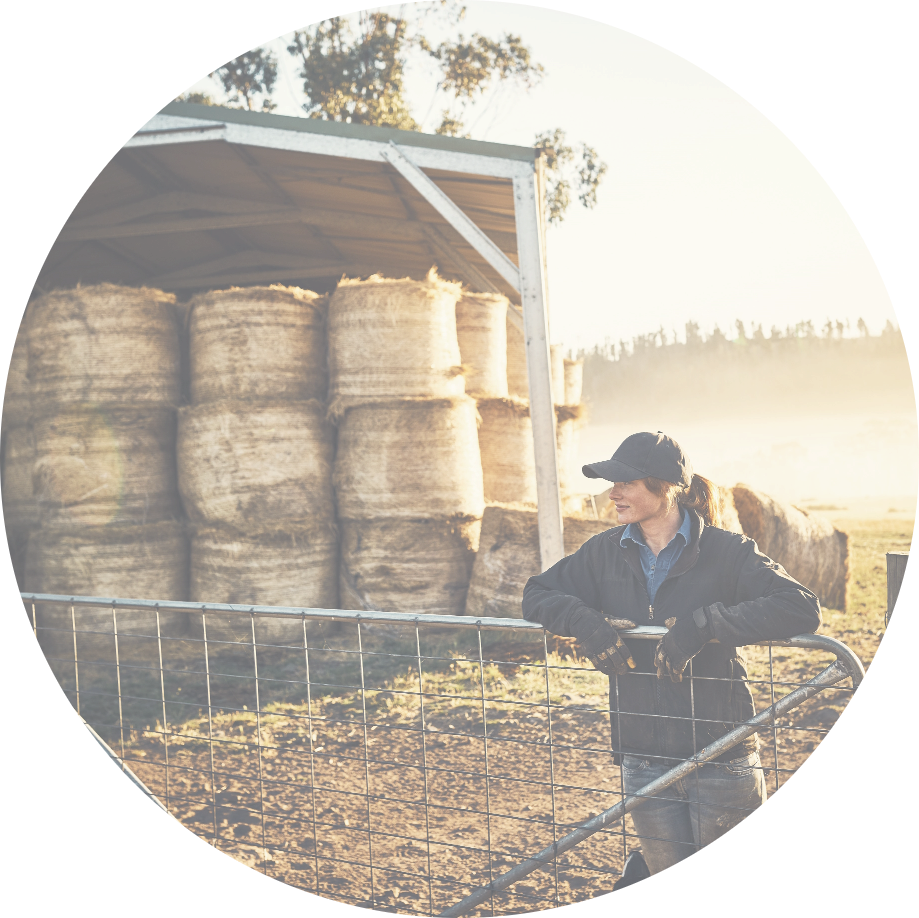 Sustainability at Datamars - Datamars