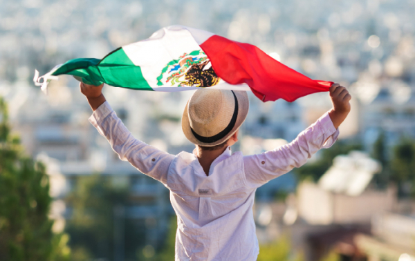 Datamars homepage - Datamars