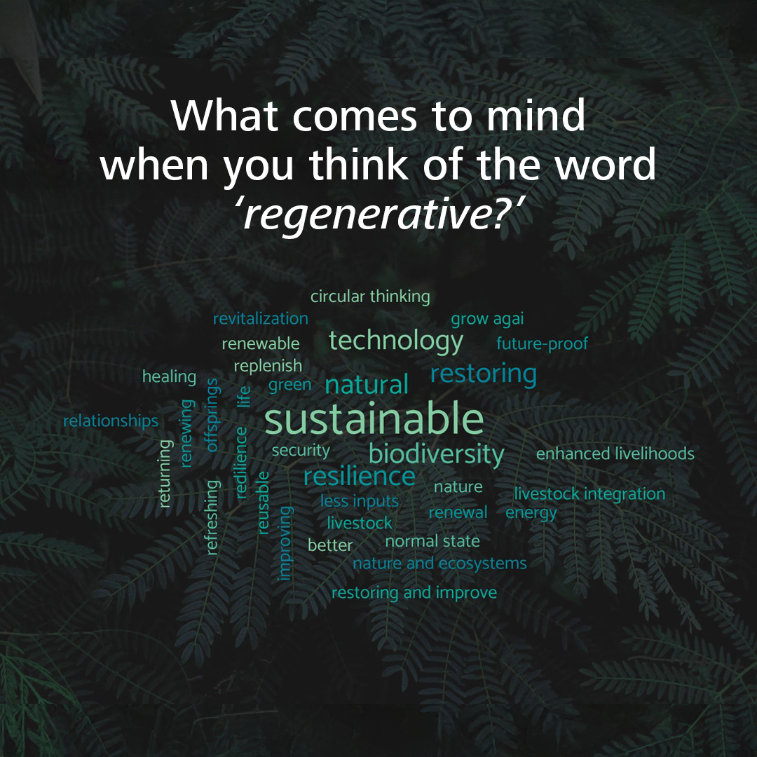 Exploring Regenerative Agriculture with Datamars Sustainability Foundation - Datamars