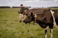 US / Can (English) - Datamars